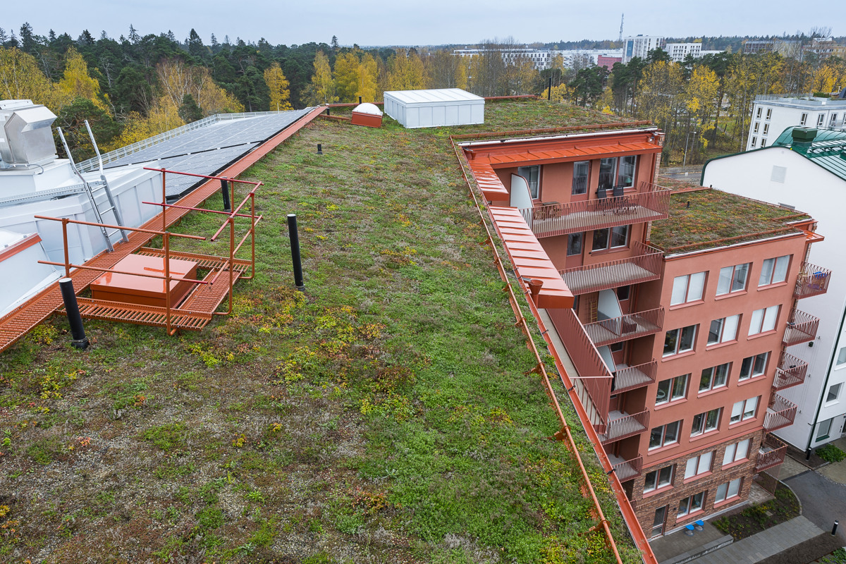 Gröna tak gör nytta för klimat och hälsa | SKB